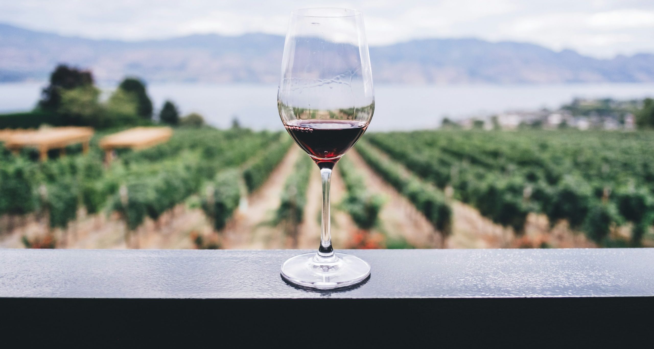 30. ročník vinárskej súťaže Vinalies Internationales prial slovenským ...